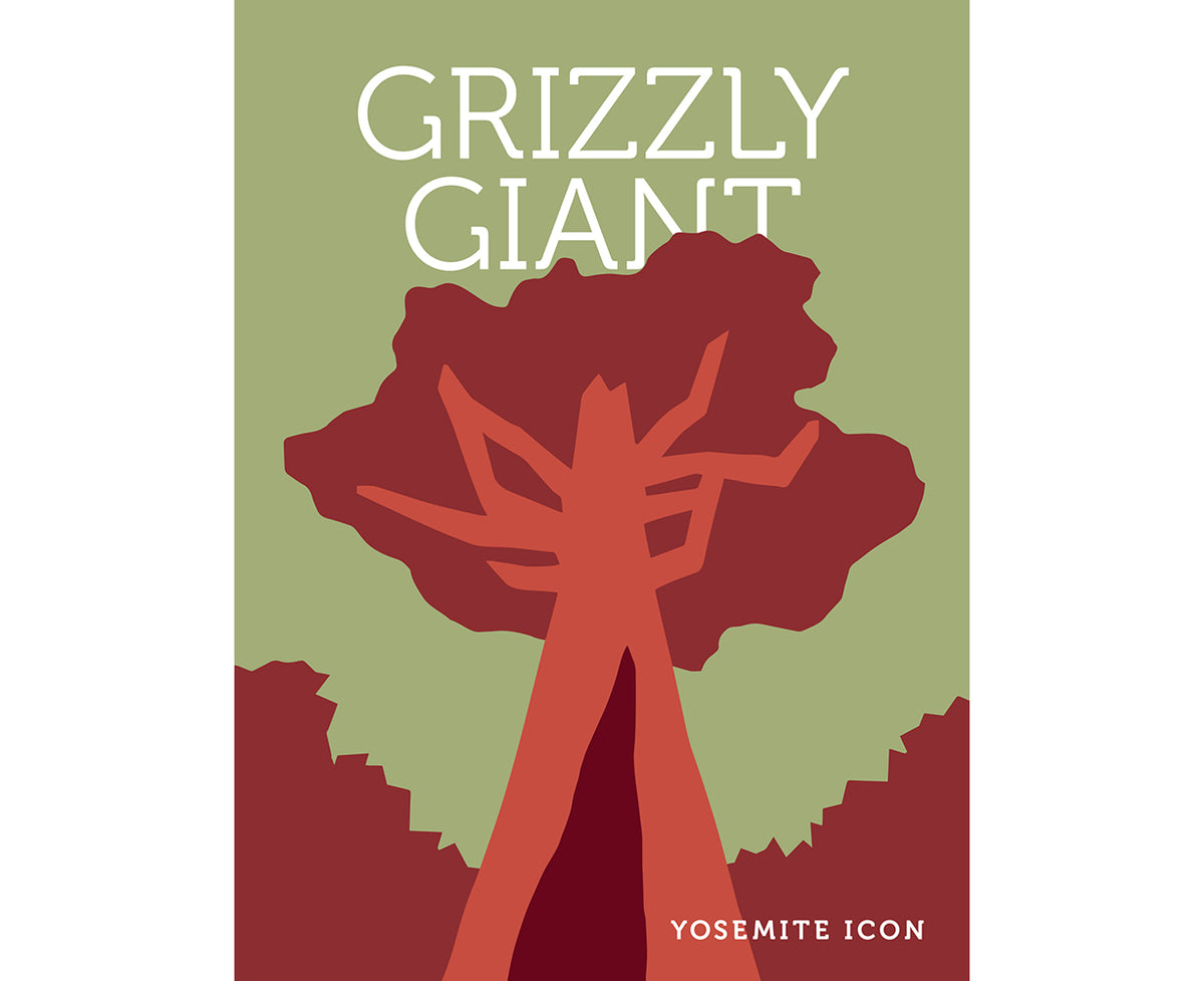 Yosemite Icon: Grizzly Giant – Yosemite Conservancy