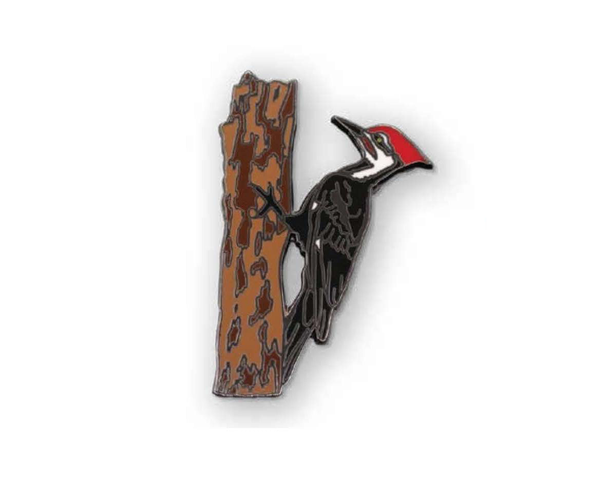 Pileated Woodpecker Pin – Yosemite Conservancy